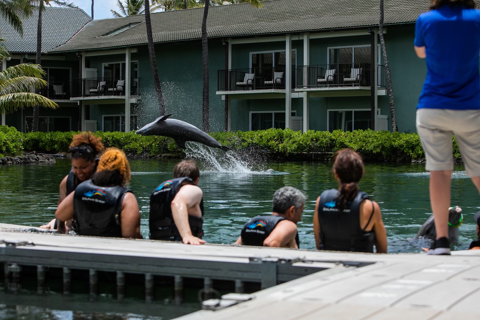 Dolphin Quest at the Kahala Hotel and Resort in Honolulu